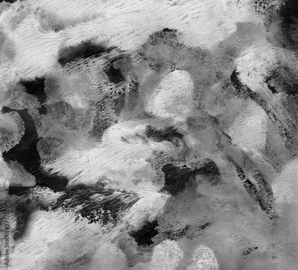 Graphite background. Simple abstract black-white watercolor, animal ...