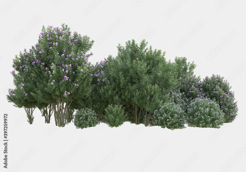 Wild bush with flowers isolated on grey background. 3d rendering ...