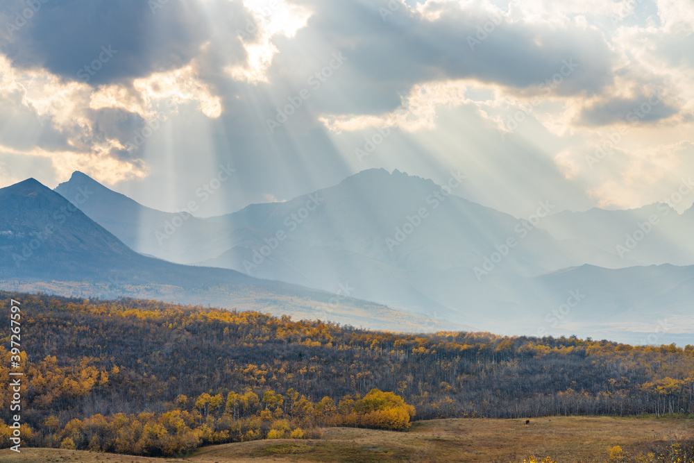 Vast prairie and forest in beautiful autumn. Sunlight passing blue sky ...