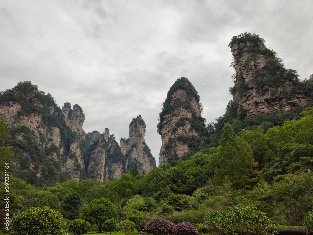 The sandstone pillars. Mountains in the national park Wulingyuan ...