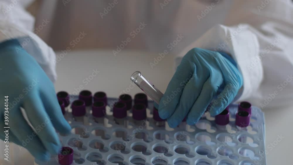Process of coronavirus testing examination by nurse medic in laboratory ...