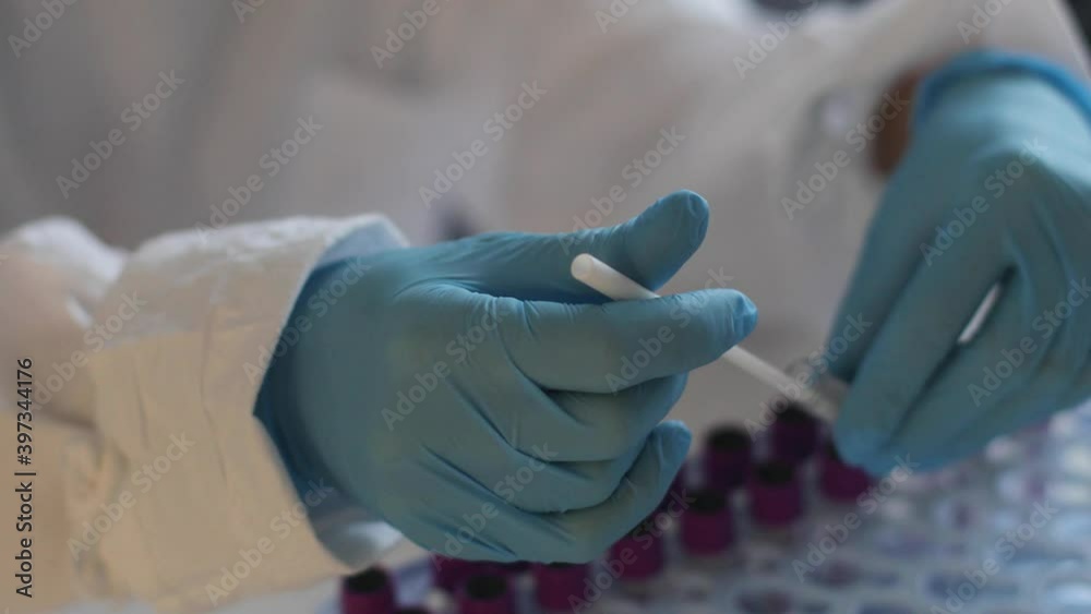 Process of coronavirus testing examination by nurse medic in laboratory ...
