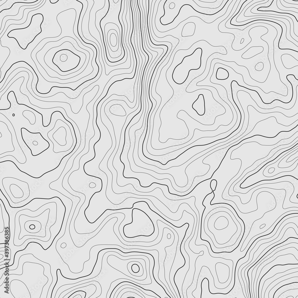 Background of the topographic map. Topographic map lines, contour map ...