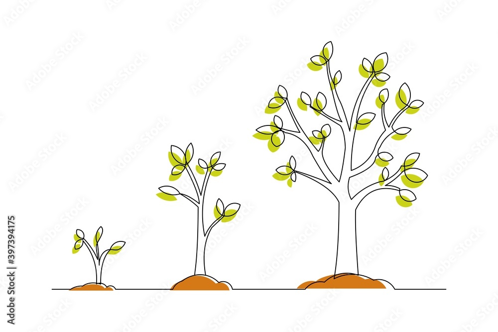 Continuous line drawing of step of tree growth. Vector illustration ...