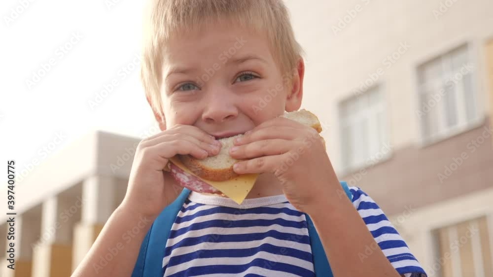 schoolboy eating a sandwich during recess in school. lifestyle kids ...