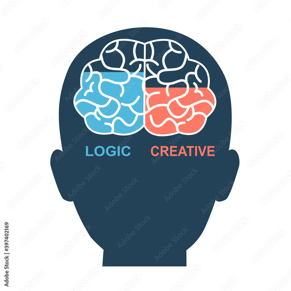 Left and right brain infographic for presentation concept vector ...