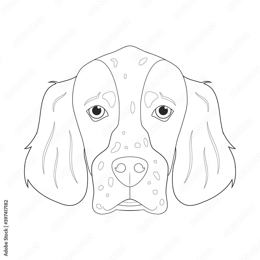 English Setter dog easy coloring cartoon vector illustration. Isolated ...