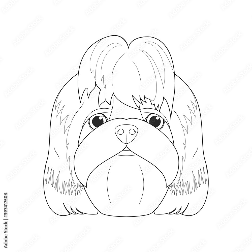 Shih Tzu dog easy coloring cartoon vector illustration. Isolated on ...