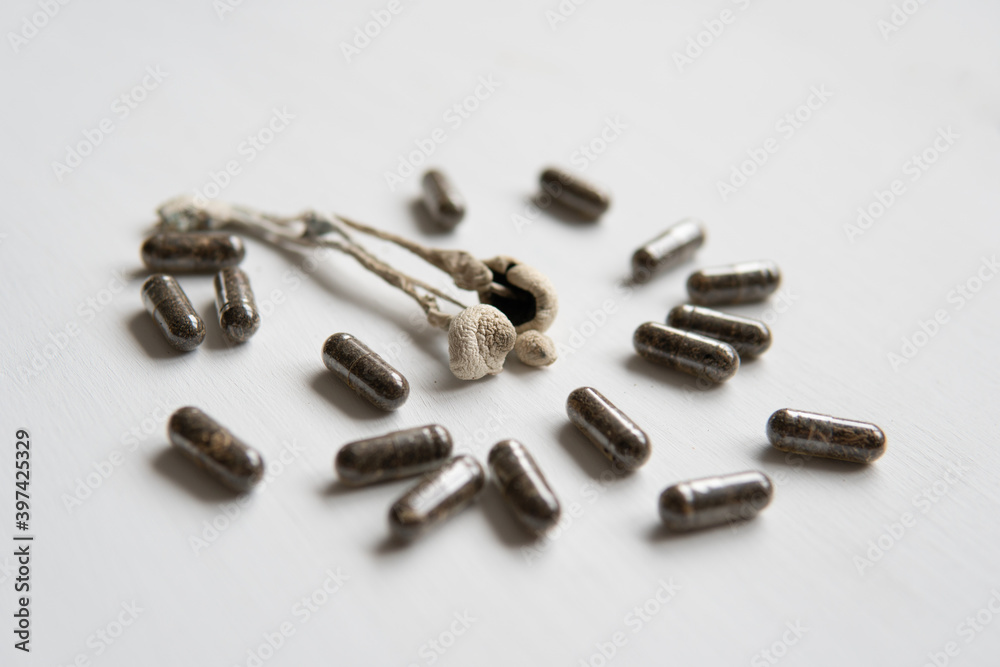 Magic shroom. micro dosing Psilocybin mushroom. Dry Psilocybe cubensis ...