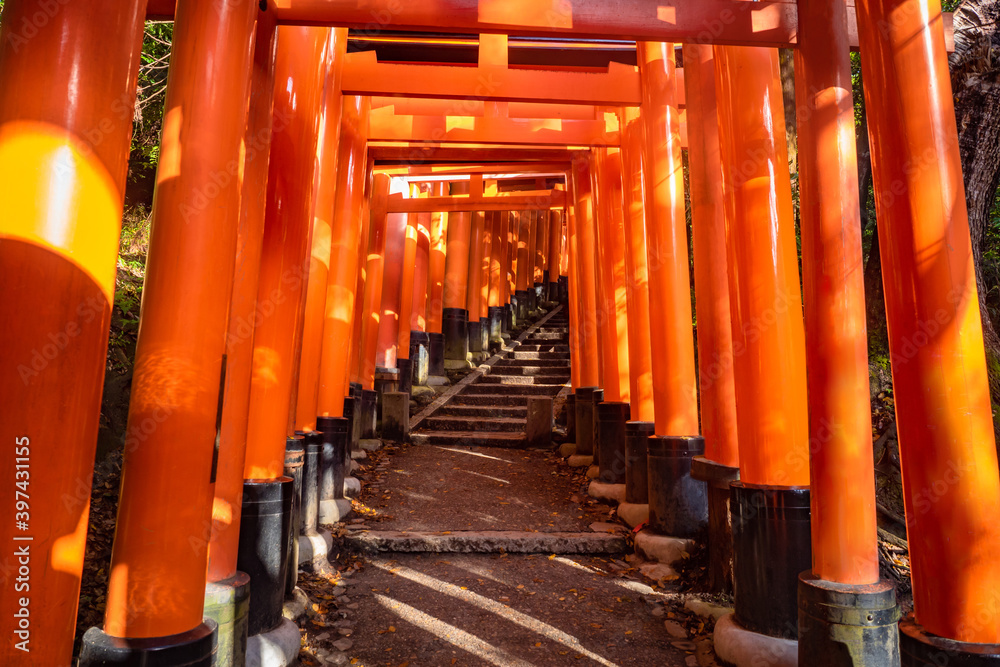 Japan. Passage through the thousand gates of the temple in Kyoto ...