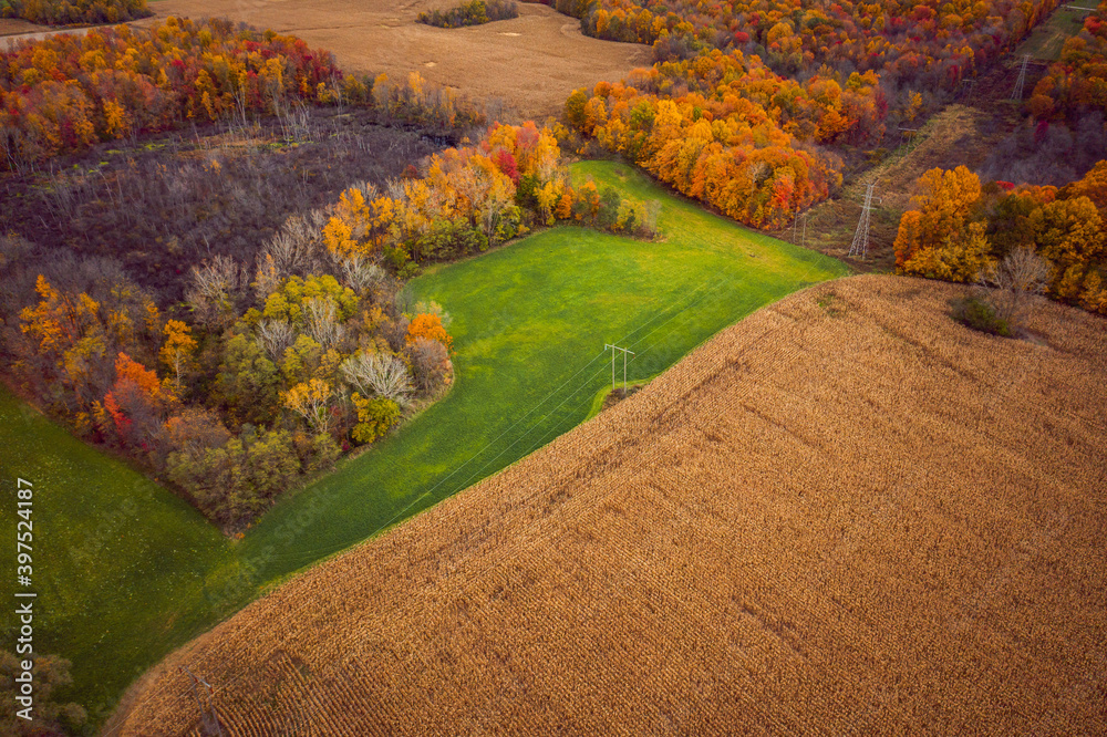 Beautiful aerial photograph of green and golden farm fields in Indiana ...