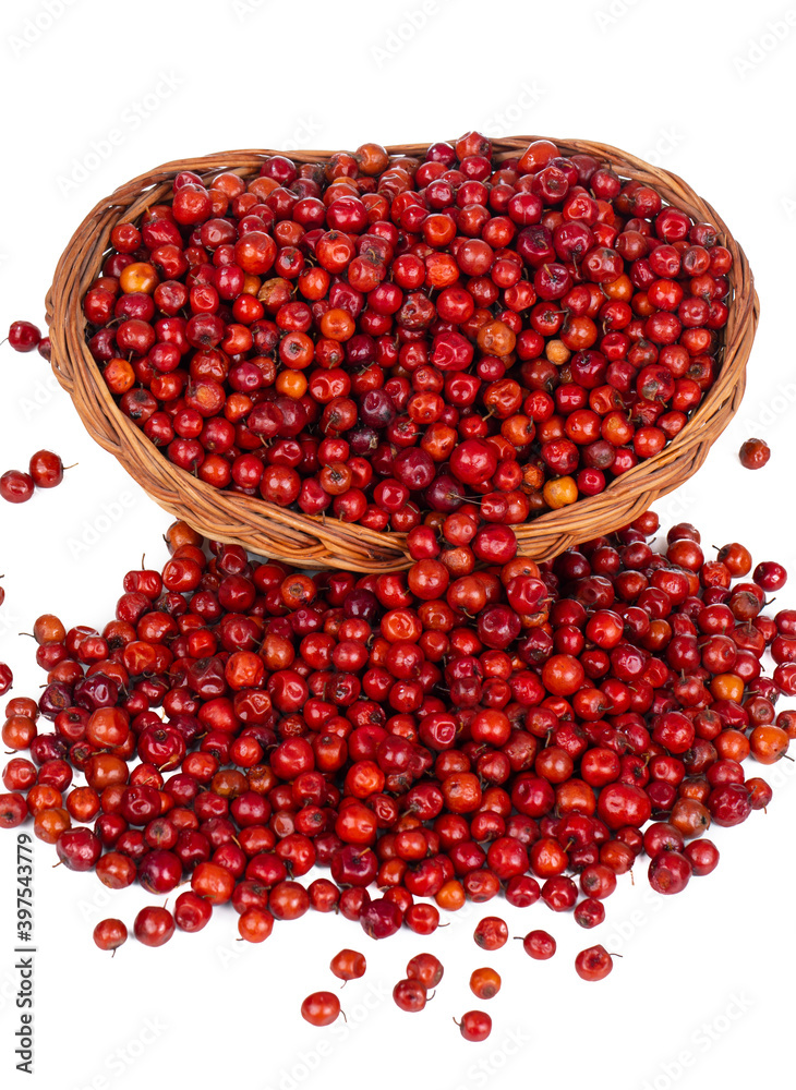 Indian Fruit Red Berry Also Know as Bor, Bora or Bore Isolated on White ...