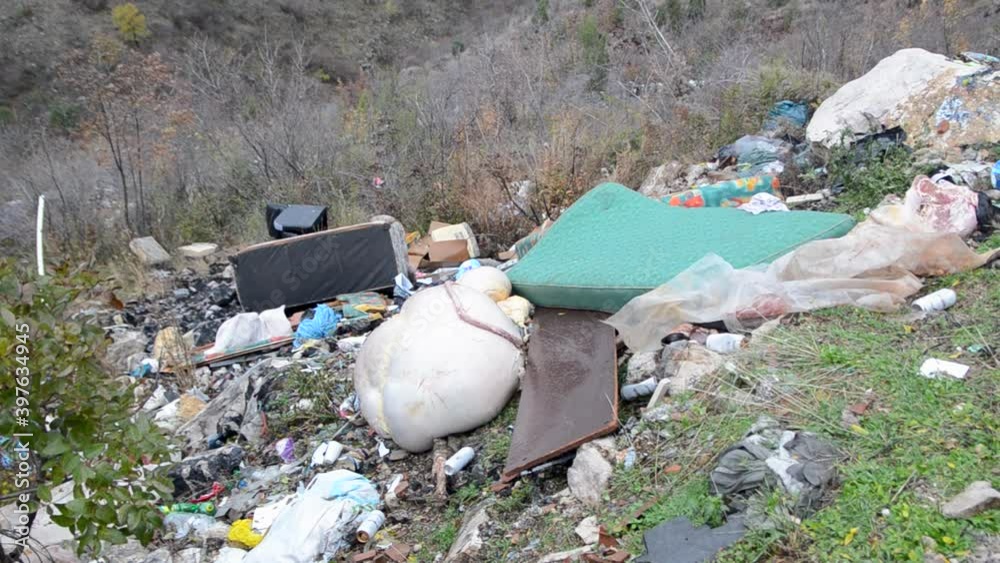 Animal Carcasses and offal dumped in a pit. Wild garbage dump in nature ...