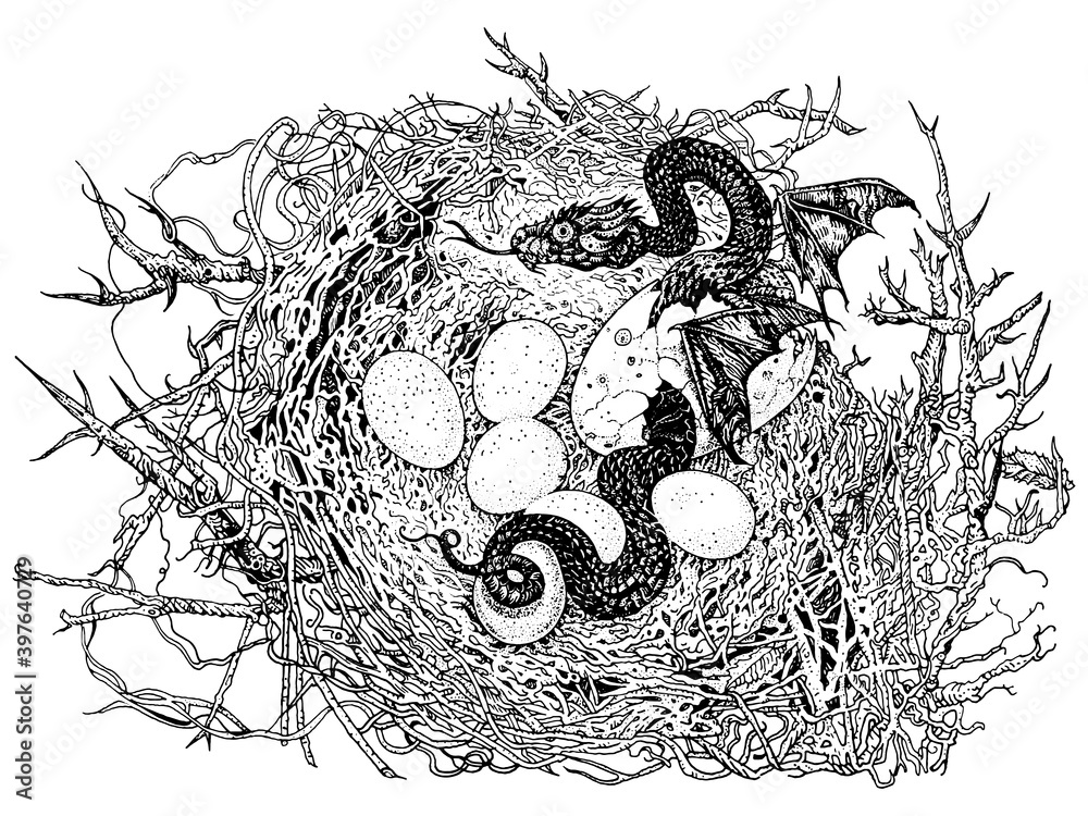 Vetor de Nest coiled in the branches of a tree. The serpent hatches ...