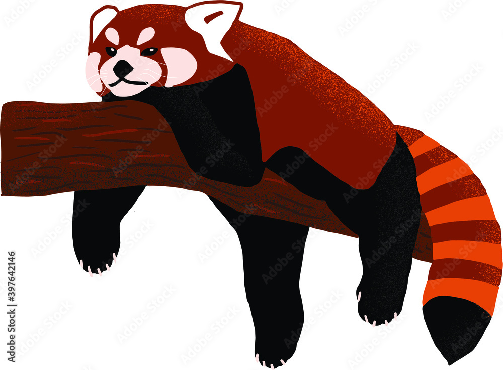 red panda red tail striped animal funny cute sitting isolated vector ...