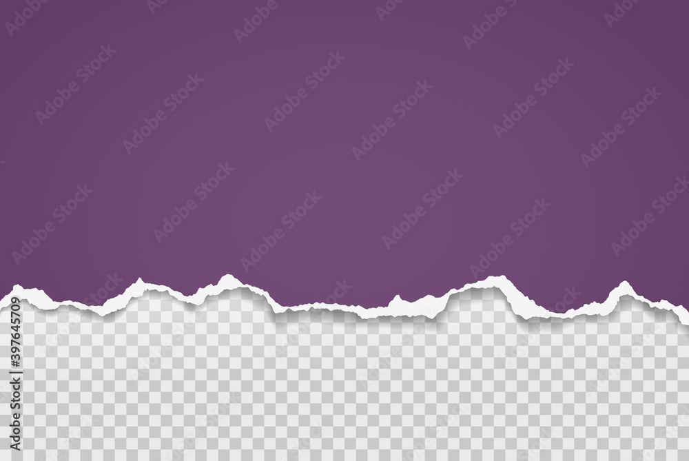 Piece of torn, ripped purple paper strip with soft shadow are on grey ...