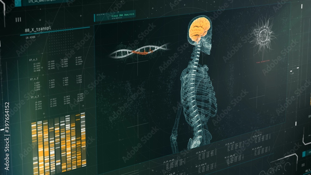 DNA research, body scan results on screen, virus detection, genetic ...
