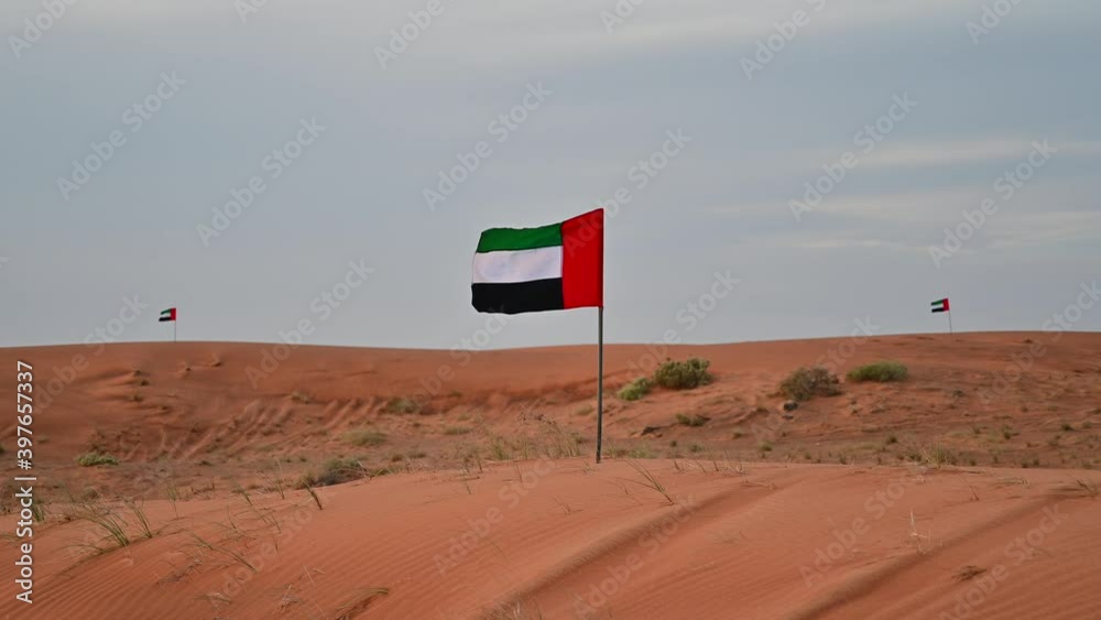 Flag of the United Arab Emirates waving in the Arabian desert, cloudy ...