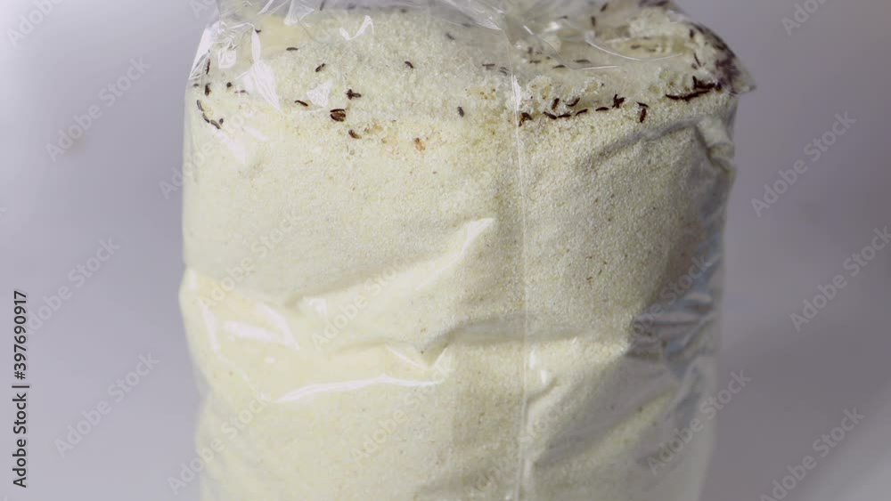 Flour beetle Tribolium confusum in a plastic bag with semolina. Small ...