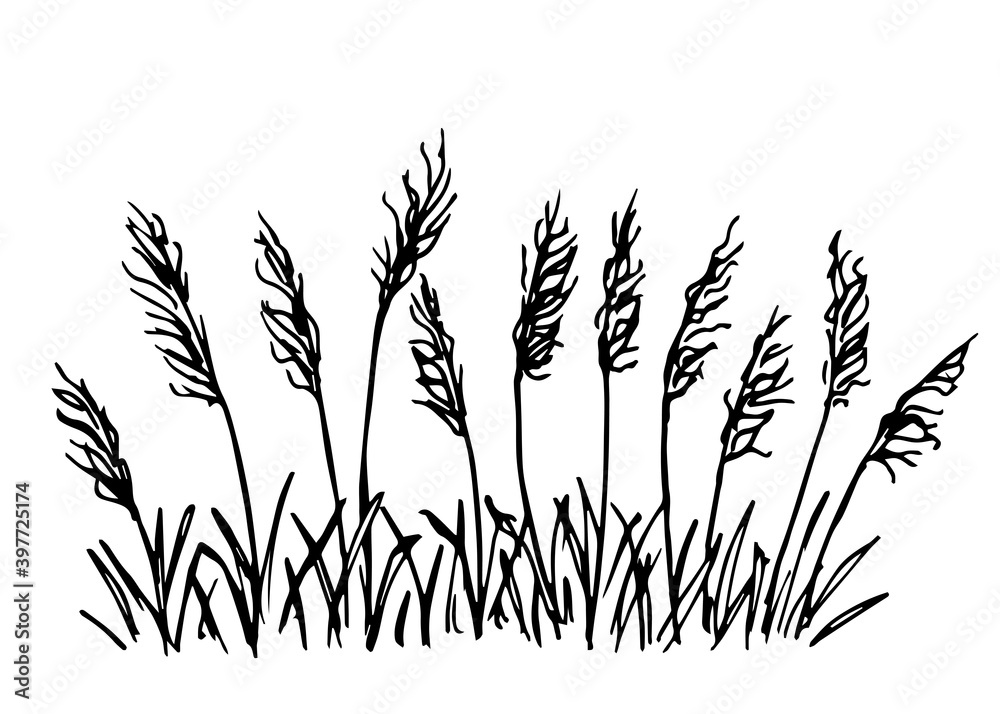 Grass Drawing Outline