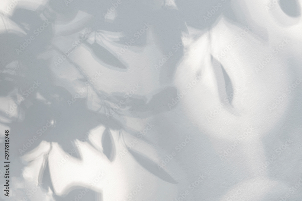 Abstract leaves shadow blurred background. Natural leaves tree branch ...