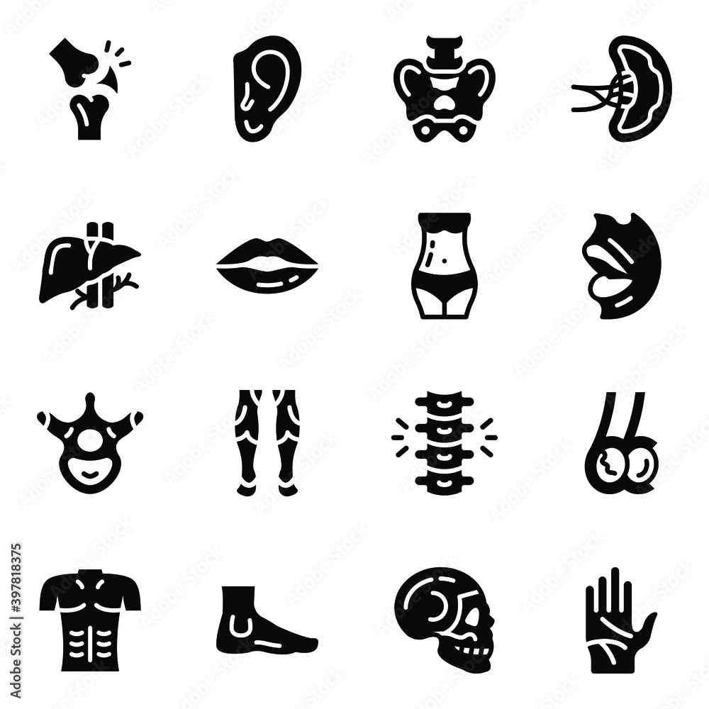 Body Organs Solid Icons Pack Stock Vector | Adobe Stock