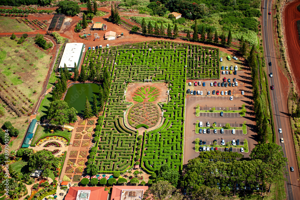 Dole Pineapple Plantation Maze