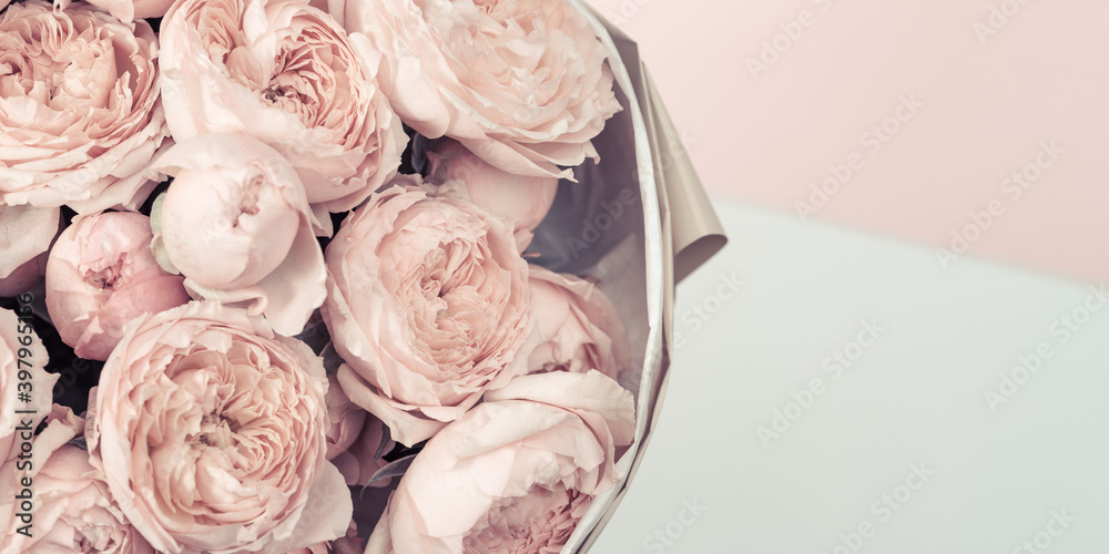 David Rose Flower