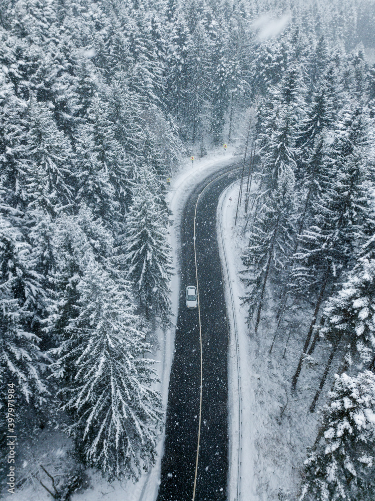 White car drives empty road in forest in the cold winter. Tourists on ...