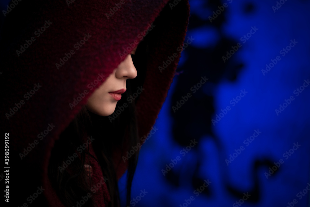 Part of the face of a young beautiful girl is hidden under the hood ...