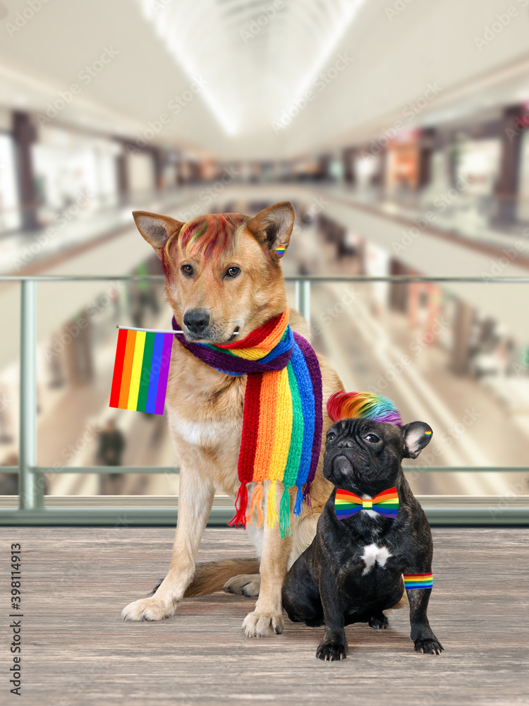 Dogs with accessories and the LGBT flag of different breeds as a ...