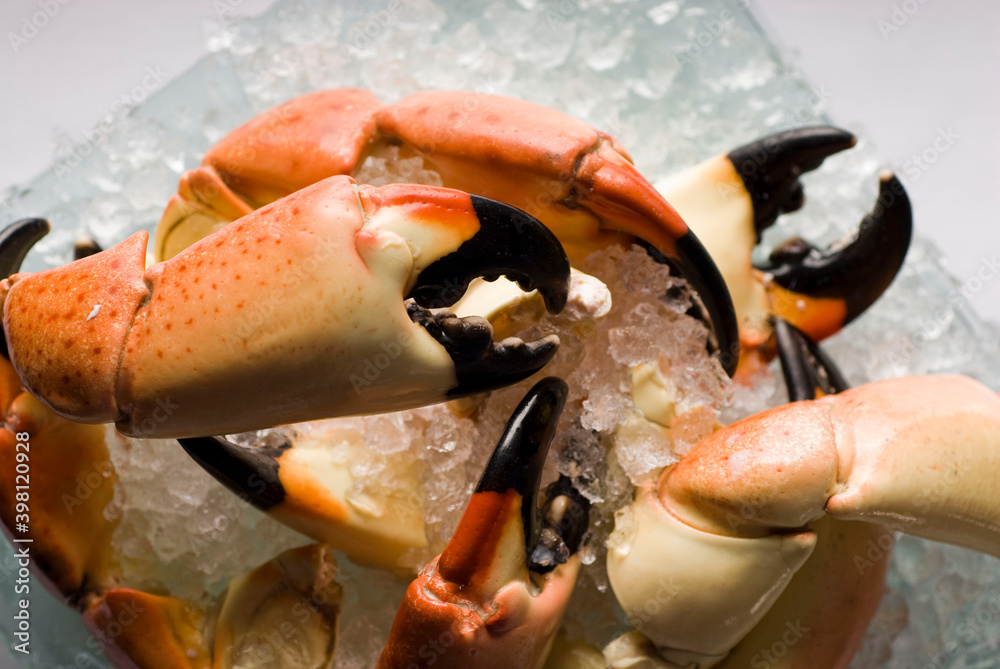 Fotografia do Stock: Stone crab claws. Colossal Crab claws served with ...