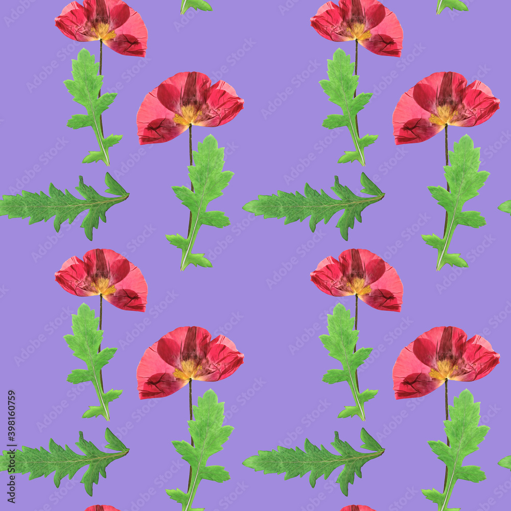 Poppy. Illustration, texture of flowers. Seamless pattern for ...
