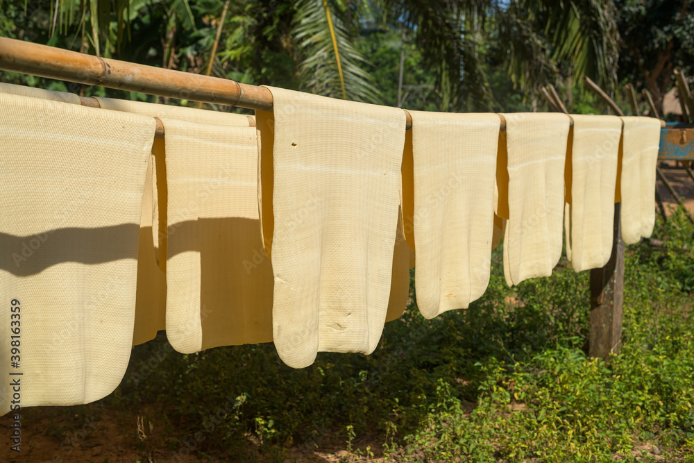 Rubber sheet has been made to rubber sheet to the rubber plant. ภาพถ่าย ...