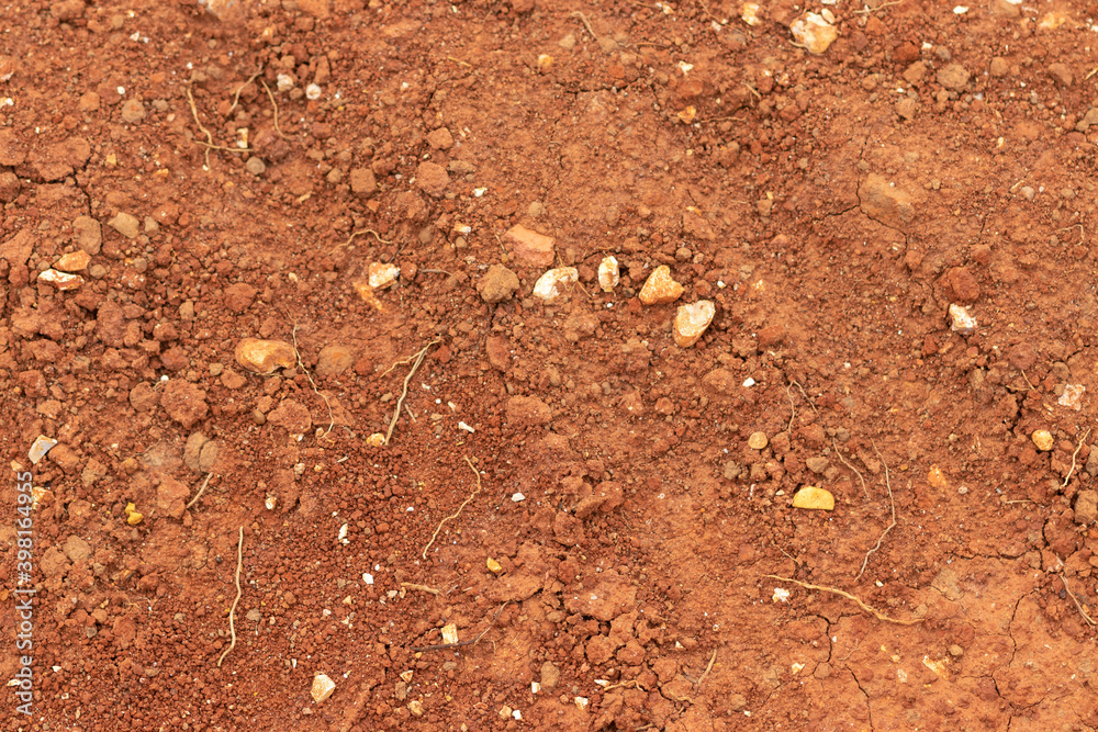 textura de chão de terra foto de Stock | Adobe Stock