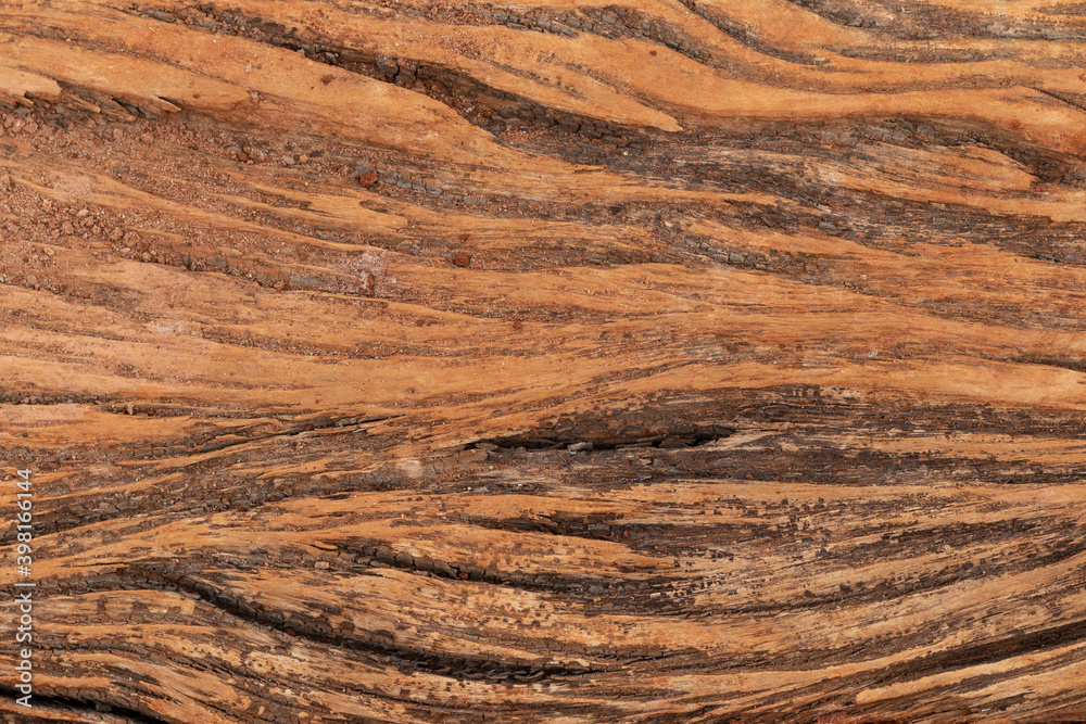 textura de madeira Stock Photo | Adobe Stock