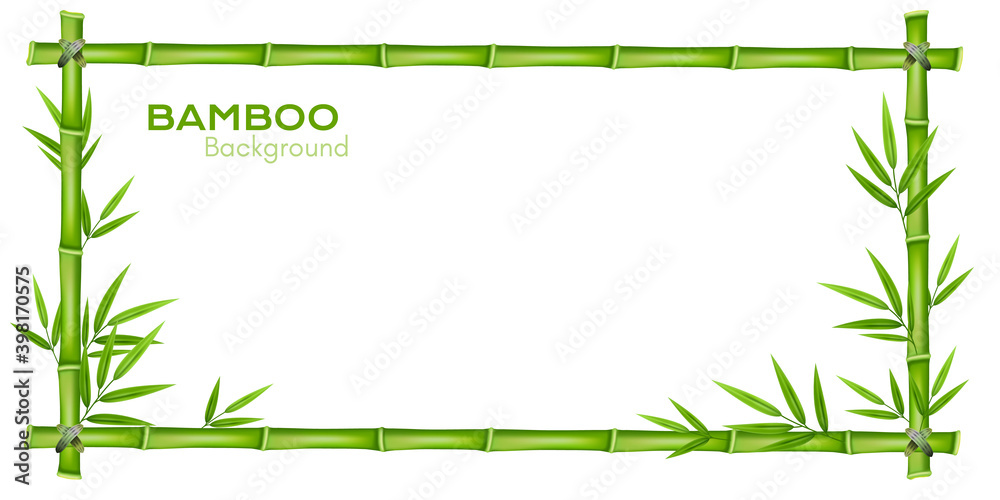 Bamboo decoration. Vector frame. Nature background with copy space ...