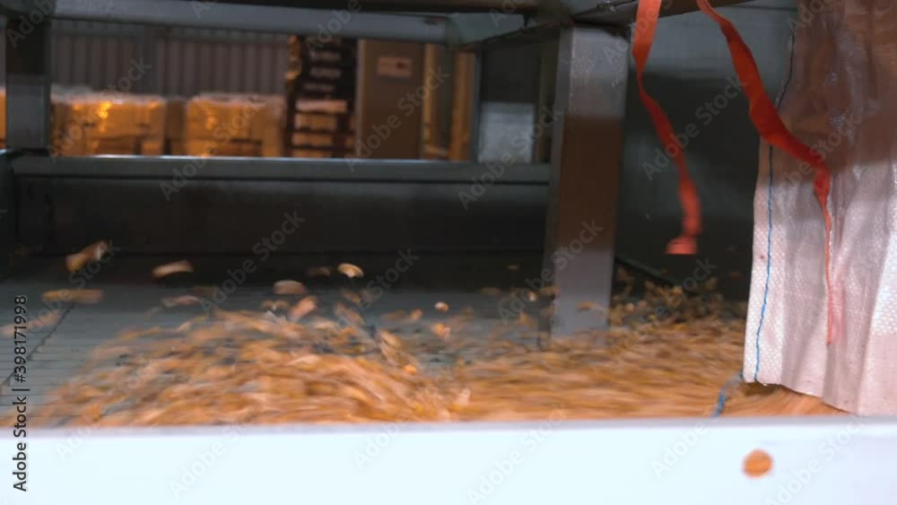 Video „corn, separator, shaker, seeds, industry, agricultural, cereal ...