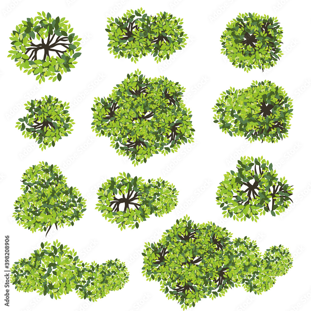 Collection of abstract green tree top view isolated on white background ...