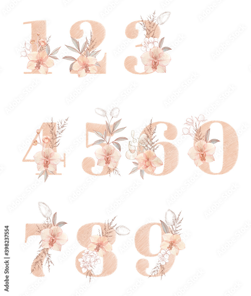 Hand drawn collection of the floral numbers with watercolor flowers ...