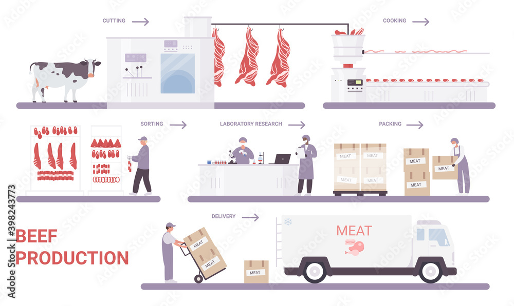 Beef production on meat factory infographic process vector illustration ...