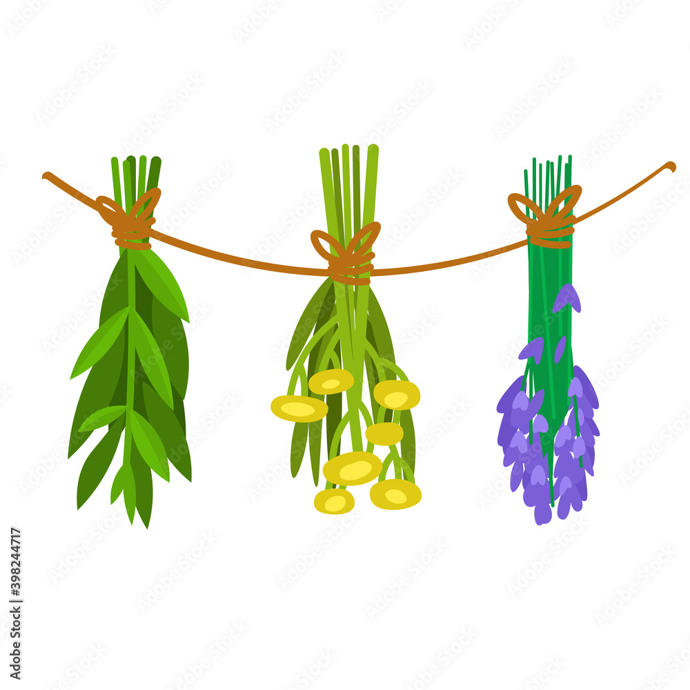 Set of dried herbs. Cartoon flat vector illustration isolated on white ...