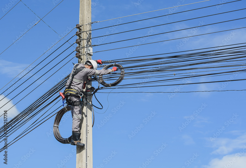 Electrical wireman repair Power cable wearing safety full harness on ...