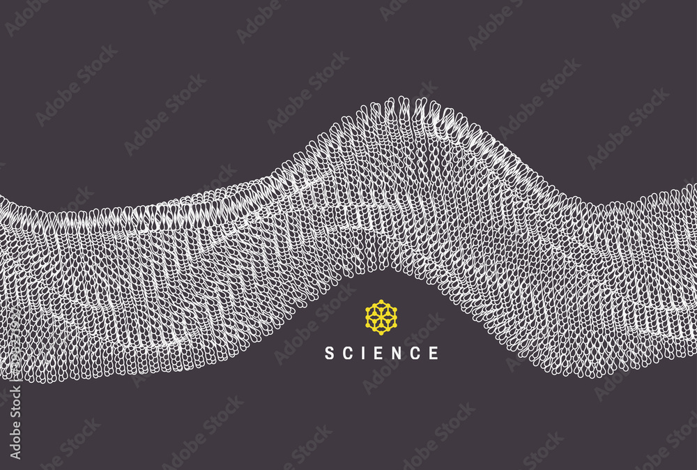 A wave formed from many particles. Cell membrane structure in motion ...