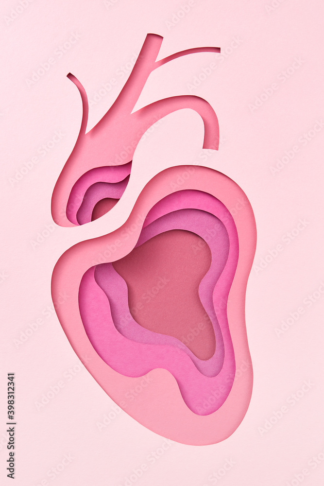Handmade from paper abstract structure of human heart. Stock Photo ...