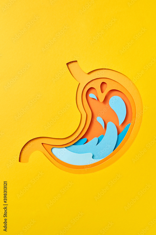 Papercraft anatomic composition of human stomach from paper. Stock ...