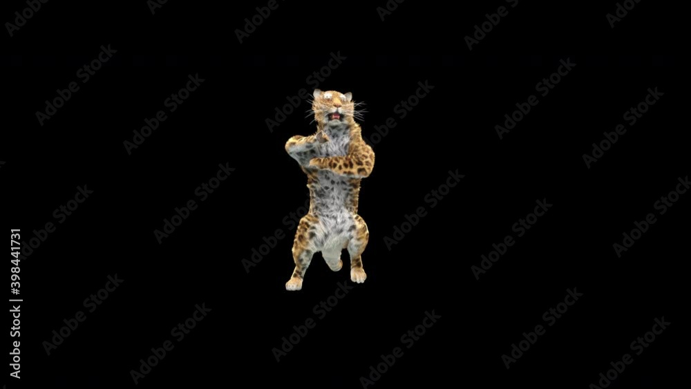 Leopard Dancing CG fur, 3d rendering, animal realistic CGI VFX ...