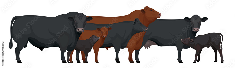 Farm animals - Herd of Bull, Cow, Calf. Set Aberdeen Angus - The Best ...