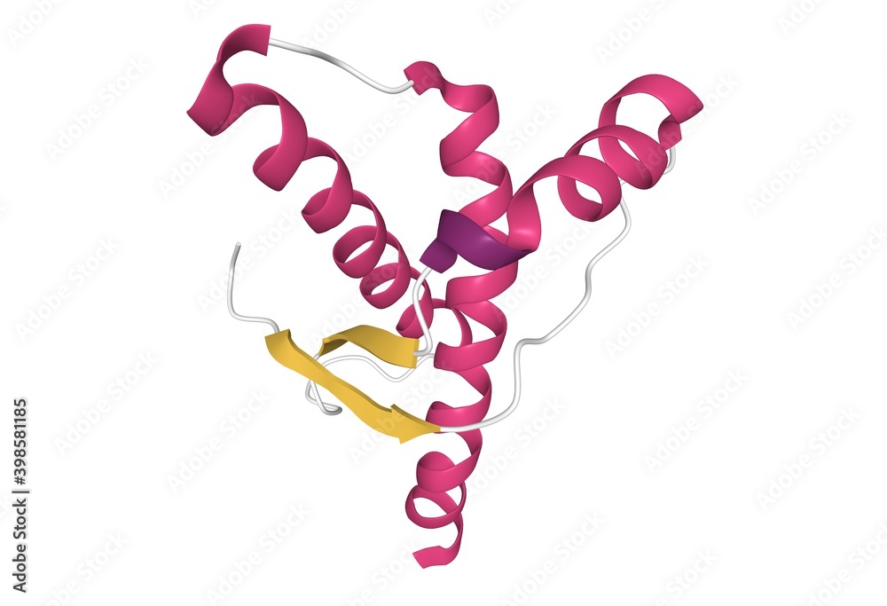 Structure of human prion, 3D cartoon model isolated, white background ...