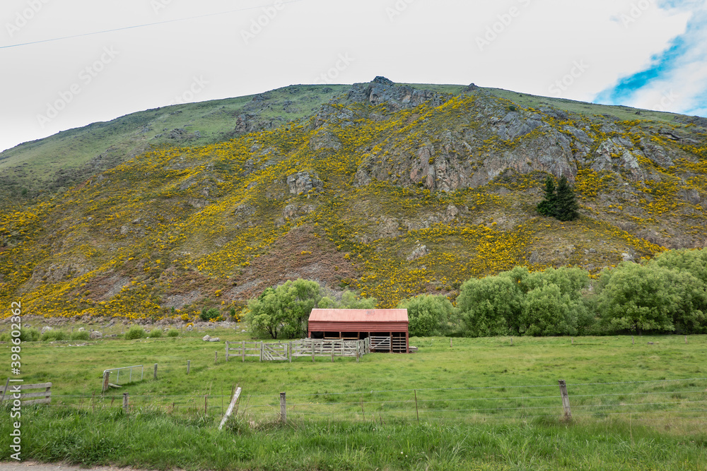 Red farm shed in field with stock fencing and in lee of hill in ...